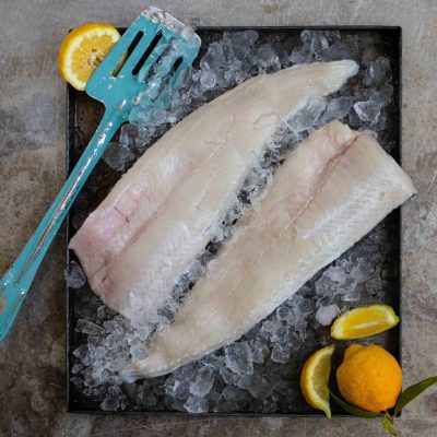 HAKE FIL 6/8 WC FISHERIES 5KG - Hoxies
