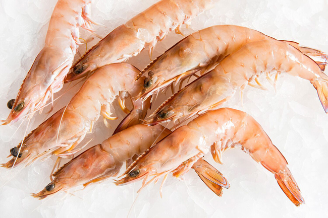 PINK PRAWN LRG H/ON 12X1KG - Hoxies