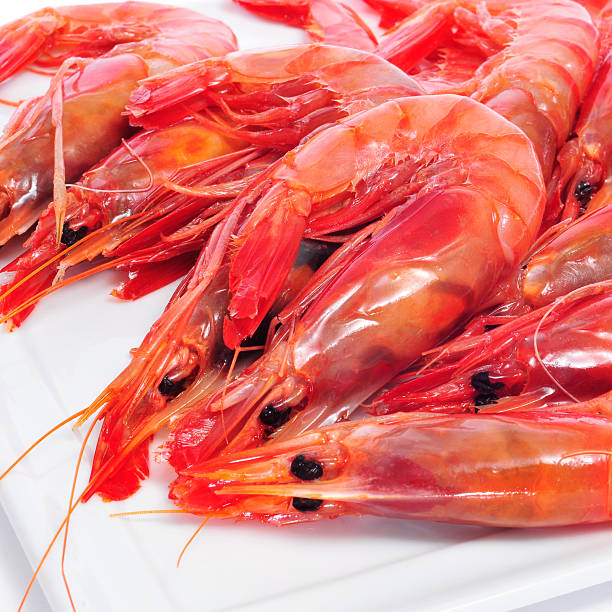 PINK PRAWN MED H/ON 12X1KG - Hoxies