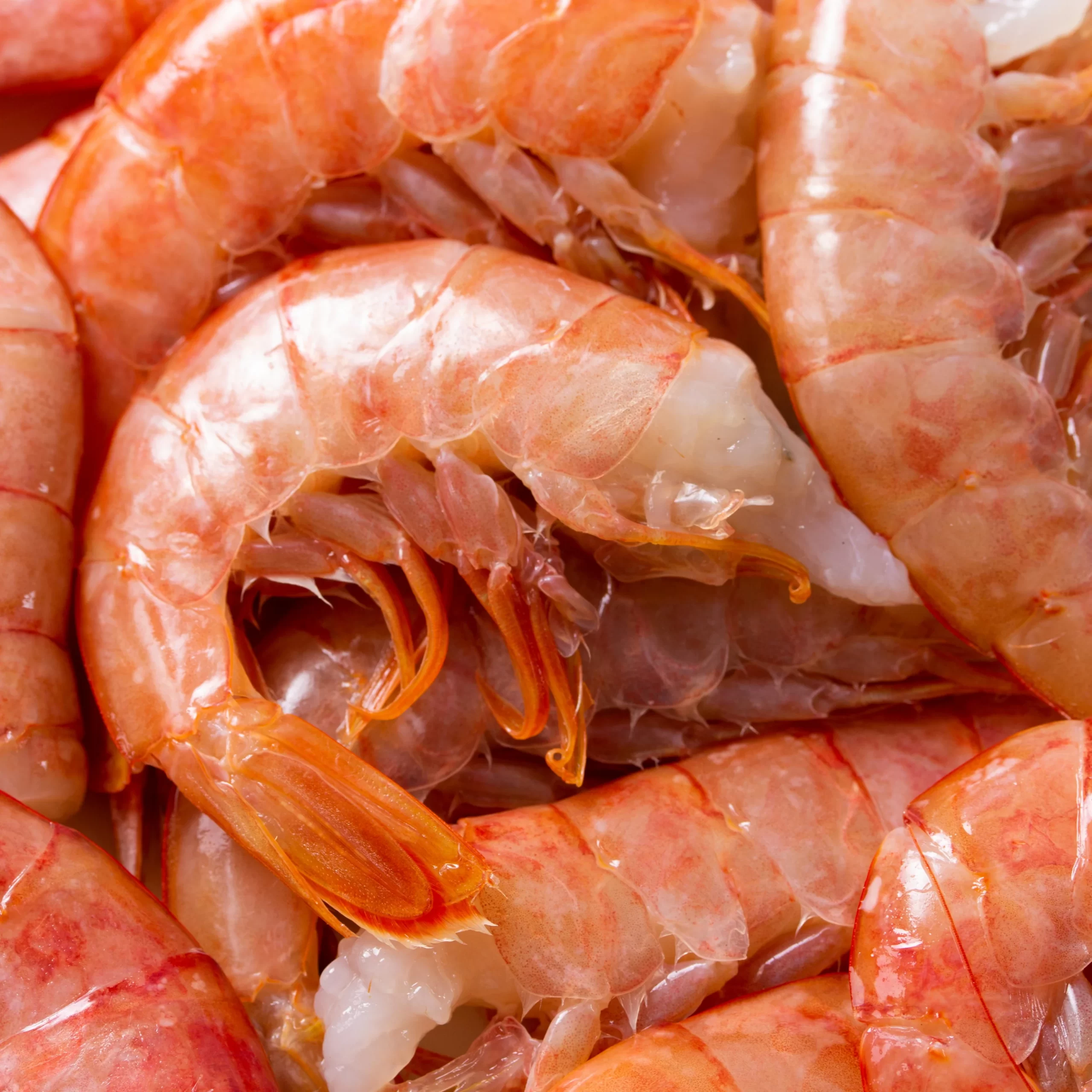 PINK PRAWN LGE H/L (TAILS) 6X2KG - Hoxies