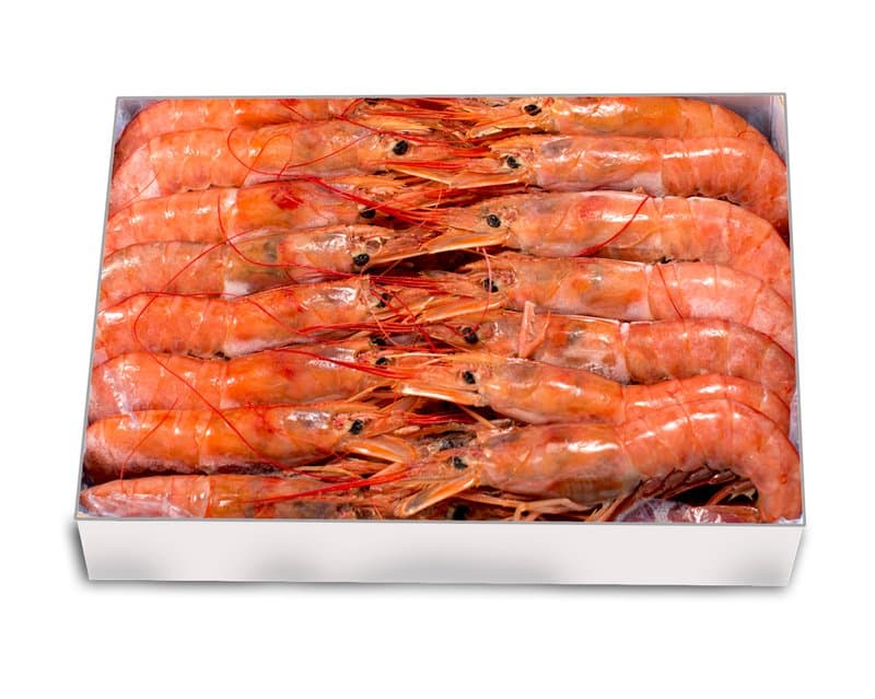 PINK PRAWN LRG H/ON 12X1KG - Hoxies